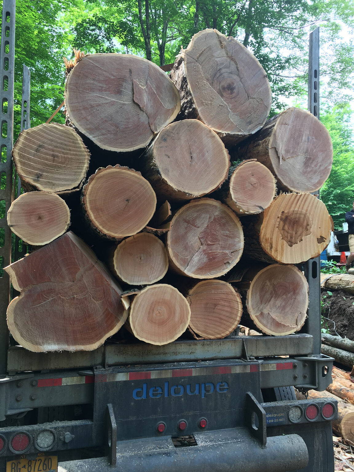 Log Marketing - Lyme Adirondack
